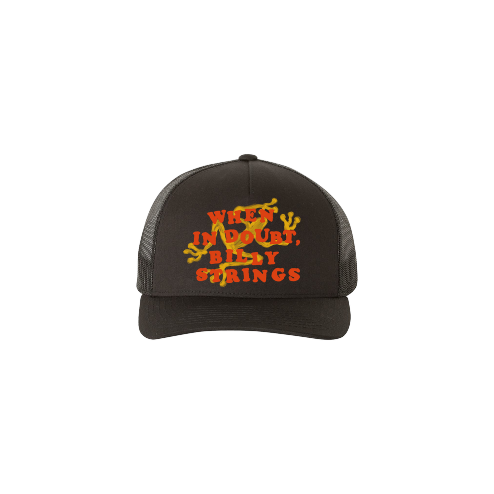 WHEN IN DOUBT FROG HAT – Billy Strings Merchandise